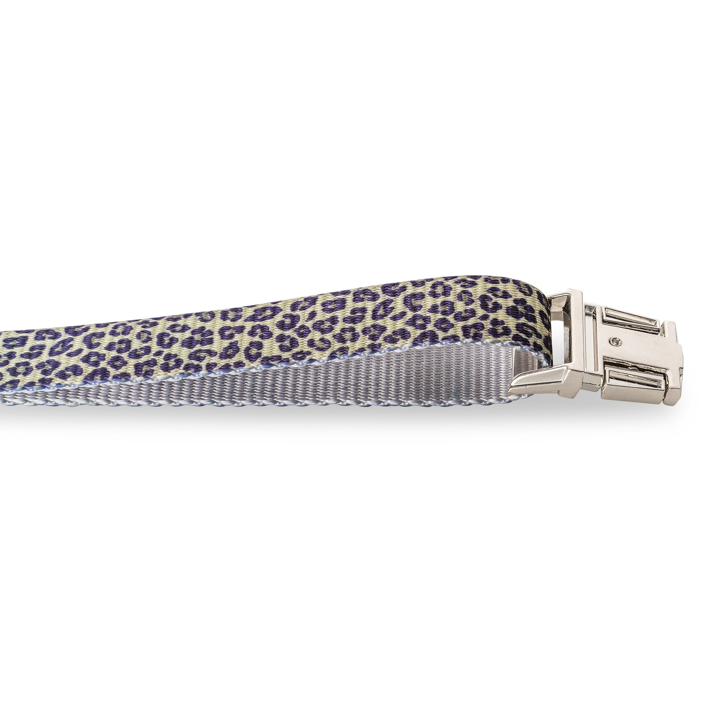 The Modern Dog Company - Walk on the Wild Side – BIG FRENCHIES