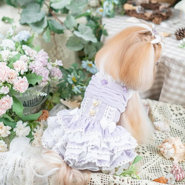Luxury design dog dress velvet rose 2 colors – BIG FRENCHIES