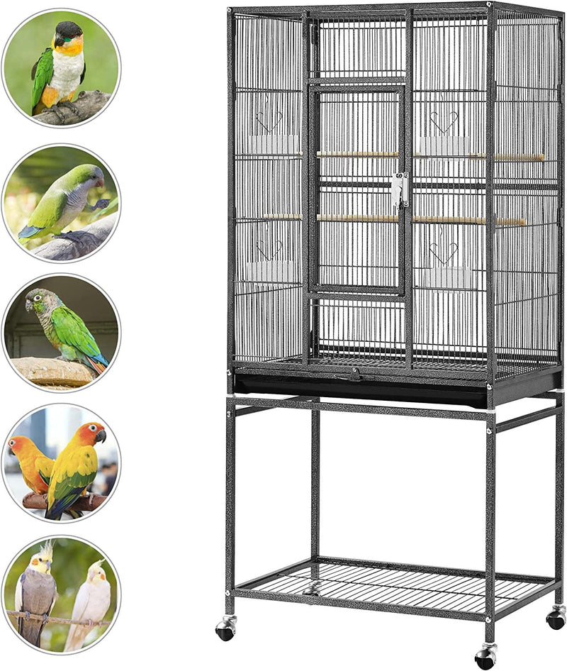 54-Inch Wrought Iron Standing for Large Parrot – BIG FRENCHIES
