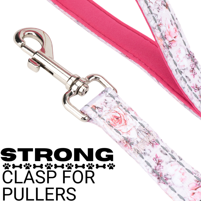 EcoBark Eco-Bright Dog Leashes – BIG FRENCHIES