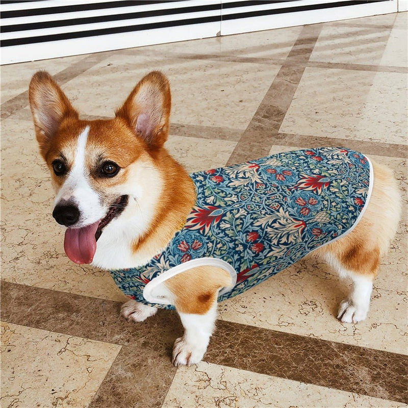 Morris Snakeshead Pet Vest – BIG FRENCHIES